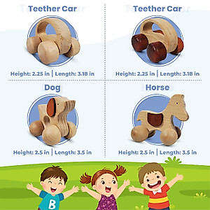 TEKOR Wooden Animal Push Toy with Wheels | Baby & Toddler | Grasping & Teething | Natural Organic Beech Wood | Develops Fine Motor Skill | Coordination | Smooth No Rough Edges | (Package of 4 Toys)