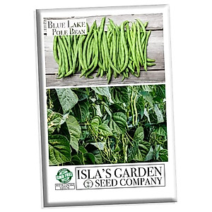 Blue Lake Pole Bean Seeds for Planting, 50+ Heirloom Green Bean Seeds Per Packet, (Isla's Garden Seeds), Non GMO Seeds, Botanical Name: Phaseolus vulgaris