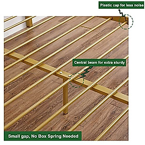 Bonnlo Metal Canopy Bed Frame King,Gold 4 Poster Bed,10 inches Canopy Platform Bed,No Box Spring Needed