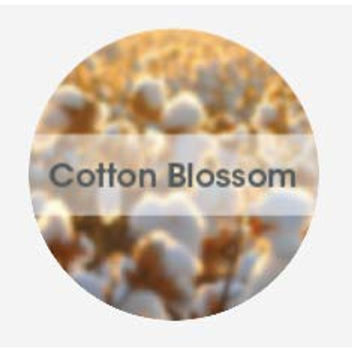 NASSCO Wave 3D Enzymatic Urinal Screen, Cotton Blossom, 10 per Box