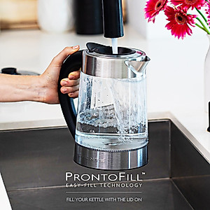 Ovente Glass Electric Kettle Hot Water Boiler 1.7 Liter ProntoFill Tech Portable Kettle w/ Set Temperature Control, 1500W Keep Warm BPA Free w/ Stainless Steel Base - KG733S + Glass Tea Pot Infuser