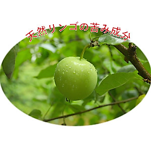 Grannick's Taste Deterrent for Dogs, 8 0z Pump Spray GB118AT