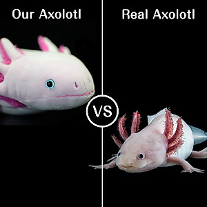 Tiny Heart Axolotl Plush,Stuffed Animal,Lifelike Cute Ambystoma Plush Toy,Gifts for Kids,18 Inches Long