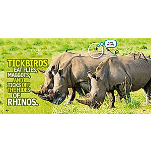 Weird But True! Gross: 300 Slimy, Sticky, and Smelly Facts