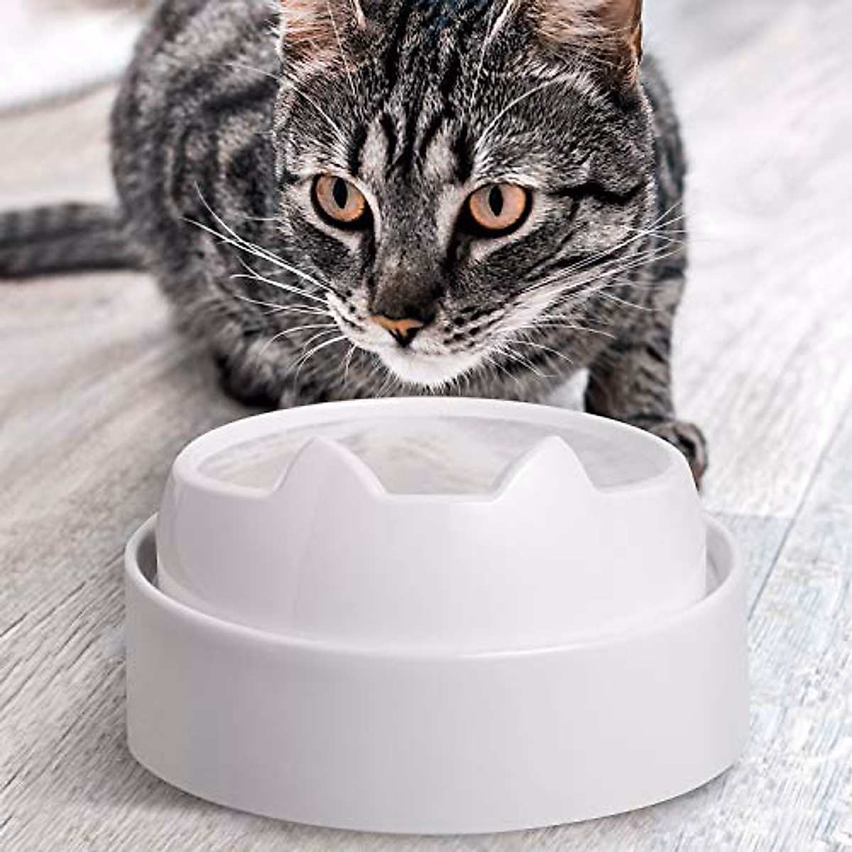 CatGuru Food Table for Cat Bowl, Non Slip Pet Feeding Station for Cat Food Bowls, Raised Stand for Food and Water Cat Bowls, Elevated Cat Feeder, Stress Free Pet Dish Stand (Marshnallow)