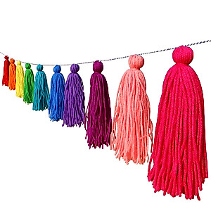 Binpeng Big Size Tassel Garland H6.3in Polyester yarn Colorful Pom Pom Tassel Banner Decorative Wall Hanging for Home Decoration Wedding Birthday Baby Shower Party Supplies