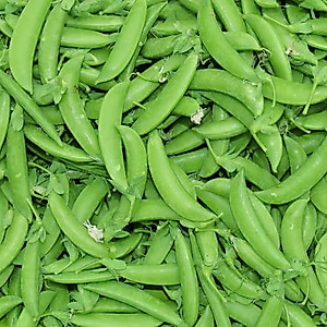 Park Seed Super Sugar Snap Pea Seeds, 1/4lb Pack