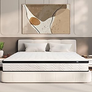 MOLBIUS Queen Mattress 10 Inch | Queen Size Hybrid Mattresses in a Box | Medium Firm Feel Memory Foam and Individual Pocket Springs | Fiberglass Free Bed Matress | Breathable | CertiPUR-US | Upgrade