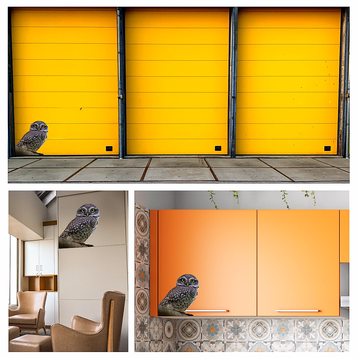 ROLY BEE 8.2 x 8.2-inch Realistic Owl Removable Vinyl Sticker for Windows (or Any Flat Surface)