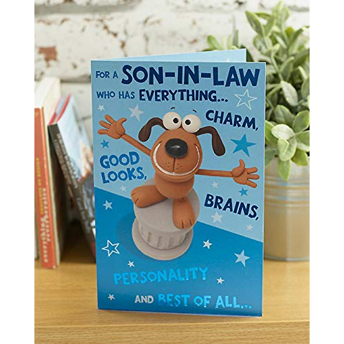 Cute Funny Son-In-Law Birthday Greeting Card Crackers Range Cards New