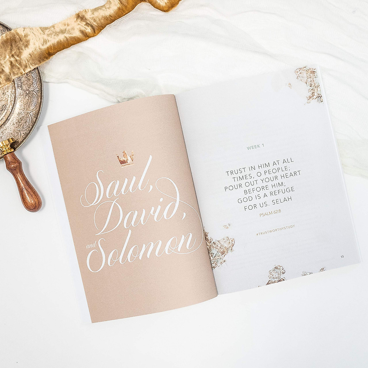 Trustworthy - Bible Study Book: Overcoming Our Greatest Struggles to Trust God