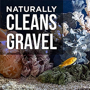 Natural Rapport Aquarium Gravel Cleaner - The Only Gravel Cleaner Fish Need - Professional Aquarium Gravel Cleaner to Naturally Maintain a Healthier Tank, Reducing Fish Waste and Toxins (16 fl oz)