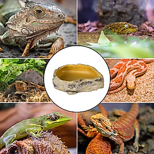 REPTIZOO Reptile Water Bowl Terrarium Water Dish Food Feeding Bowl for Reptile Amphibian Pets Medium(8"x 6.1"x 1.7")