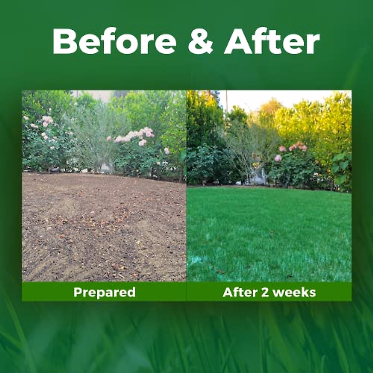 Growtrax Biodegradable Grass Seed Mat, Year Round Green - 50 Sq Ft Quick Fix Roll - Growing Solution for Lawns, Dog Patches and Shade - Just Roll Water & Grow -Not Fake or Artificial Grass