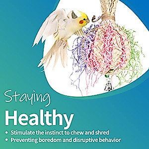 KIEYYRYT Bird Toys with Cage Shredded Paper Toys, Colorful Parrot Foraging Toys with Hanging Chewing Toys for Small Medium Parrot, Parakeet, Finch, Budgerigar, Conure, Cockatiel and Lovebirds