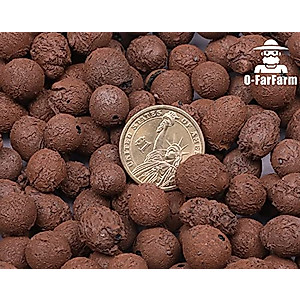 O-FarFarm Clay Pebbles for Indoor Plants, Hydroponics Supplies Clay Balls for Hydroponic Growing, 3 Sizes to Choose for Orchids, Hydroponics, Aquaculture(1qt, 11-14mm)