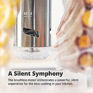 Greater Goods Kitchen Sous Vide - A Powerful Precision Cooking Machine at 1100 Watts, Ultra Quiet Immersion Circulator With a Brushless Motor, (Birch White)