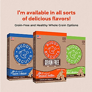 Buddy Biscuits Dog Treats, Oven Baked in USA, Teeny Size for Small Dogs or Large Dog Training, Peanut Butter 8 oz Package may vary (Pack of 1)