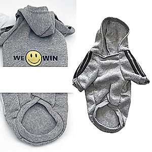 Pet Cat Dog Clothes Hoodie Tracksuit Jacket Winter Sweater Cute Outfit 2-Legs Style Grey for Puppy Small to Medium Dogs Boy and Girl (Medium)
