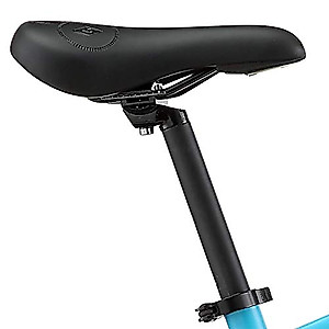 Diamondback Metric 24