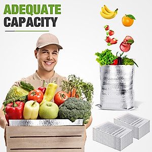 QLOUNI 25 Pcs Reusable Insulation Bags Self-seal Thermal Box Liners Metalized Box Liners Lunch Food Box Packing Pouches Insulation Lining Waterproof Insulation Grocery Delivery Package, 11.8"x13.8"