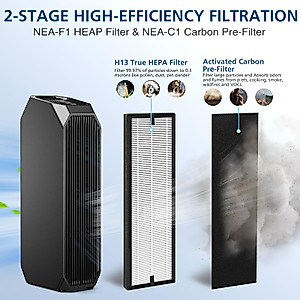 NEA-F1 H13 True HEPA Replacement Filter for Eureka NEA120 Air Puri-fier and for Toshiba Smart WiFi Air Puri-fier CAF-W36USW - 2 Pack NEA-F1 True HEPA Filter with 8 Pack NEA-C1 Carbon Filter