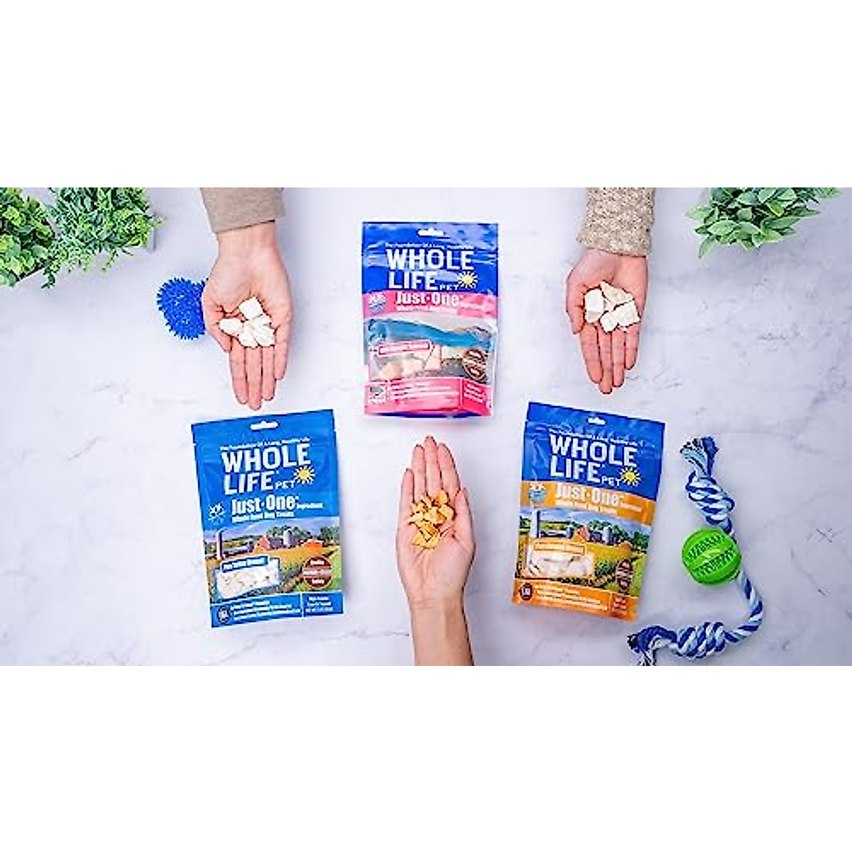 Whole Life Pet Just One Salmon - Dog Treat Or Topper - Human Grade, Freeze Dried, One Ingredient - Protein Rich, Grain Free, Made in The USA