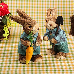 Alapaste Standing Easter Bunny Figures,9.1inch Funny Sisal Easter Bunny Wearing Clothes Holding Carrot for Party and Home Garden Decor,Great Gifts for Children Friends Family