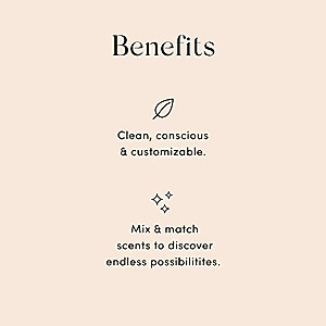 Perfume Palette By Skylar - 6 Signature Fragrances in 1 Convenient Travel-Sized Discovery Kit - Paraben-Free, Phthalate-Free, Vegan, and Cruelty-Free (6 x 1.5 mL / 0.05 fl oz)