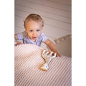 Vulli Sophie The Giraffe New Box, Polka Dots, One Size, 1 Count (Pack of 1)