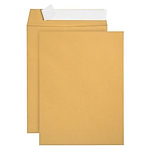 100 9 X 12 Self Seal Golden Brown Kraft Catalog Envelopes - Designed for Secure Mailing - Oversize Strong Peel and Seal Flap with 28 Pound Kraft Paper- 100 Envelopes