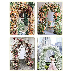 Wedding Arch Backdrop Stand,Gold Metal Door Arched Backdrop Frame Arches Backdrop Stand for Wedding Birthday Graduation Anniversary Celebration Opening Ceremony(6x2.6FT)