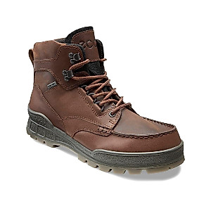 ECCO Men's Track II High GORE-TEX waterproof outdoor hiking Boot, Bison, 41 EU (US Men's 7-7.5 M)