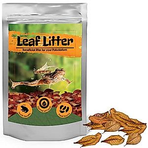 JOR Dwarf Frog Leaf Litter, Year Round Food for Your Frog, Nurtures Frogs and Indoor Plants, Creates A Frog Paradise, 100 pcs
