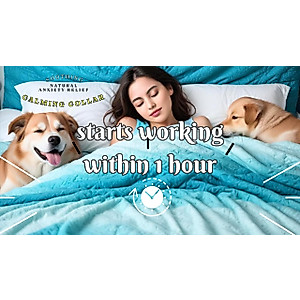 Calming Collars for Dogs, Dog Anxiety Relief, Calming for Dogs, Anxiety Collar for Dogs, Anti Anxiety for Dogs, Pheromone Collar for Dogs, DAP Collar for Dogs, Dog Stress and Anxiety Relief