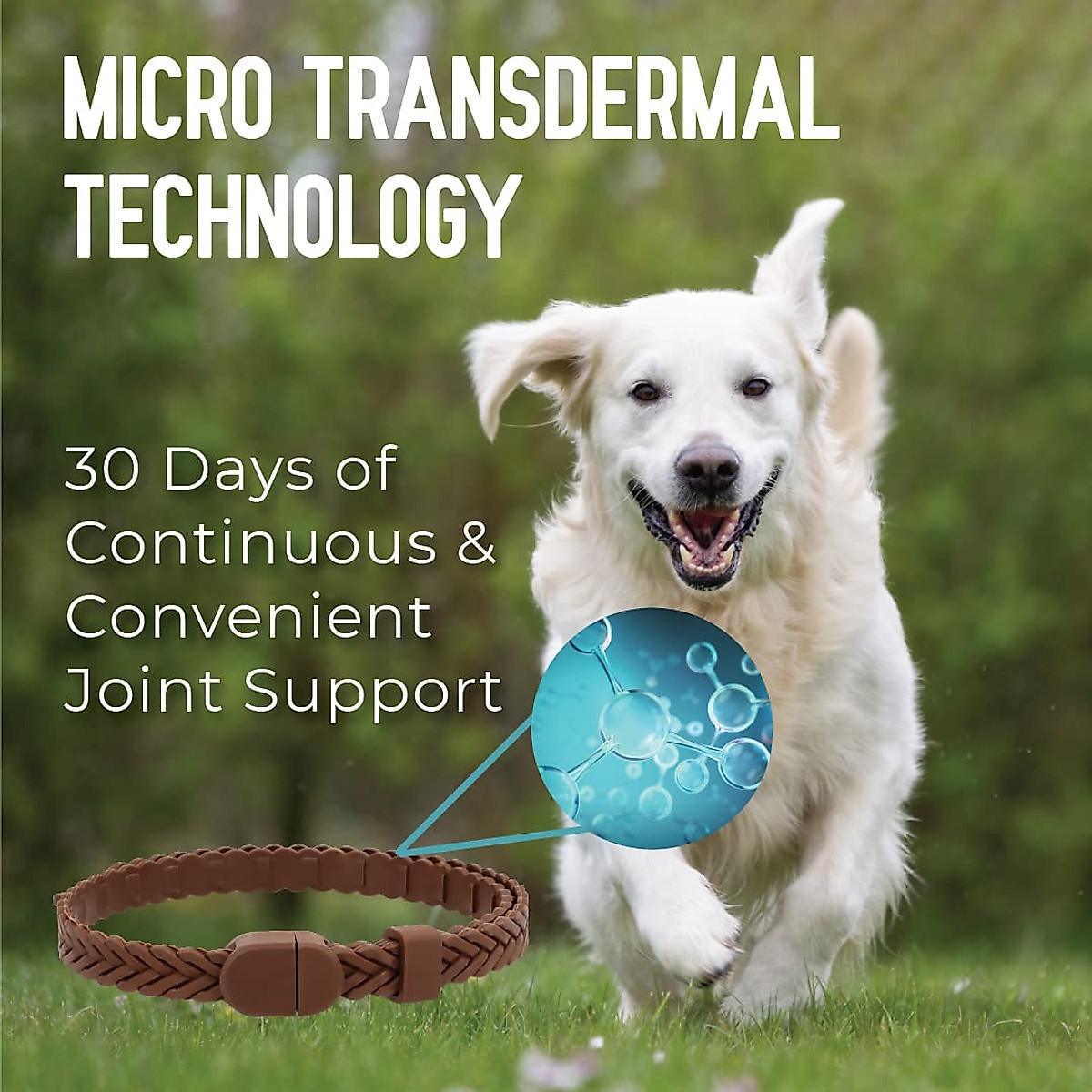 ACTIVPHY Hip + Joint Mobility Collar for Dogs with Glucosamine, Chondroitin, MSM, and More | Convenient & Easy | 30 Days of Continuous Support | Water Resistant (Small)