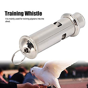 LZKW Pigeons Whistle, Silver Training Whistle, with Lanyard Mini Portable Anti‑Corrosion for Pigeons for Young Pigeons for Bird for Homing Pigeon