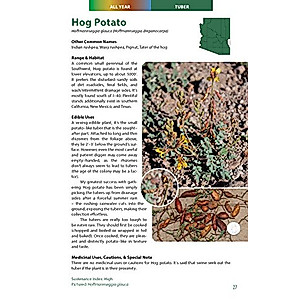 Wild Edible Plants of Arizona