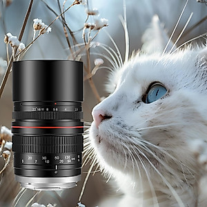 JINTU 135mm f/2.8 Telephoto Lens Manual SLR Camera Lenses for Canon EOS T7i T7s T7 T6s T6i T6 T5i T5 SL2 SL1 4000D 2000D 5D IV 90D 60D 70D 77D 80D 850D 650D 750D 550D 450D 7D