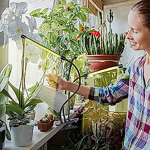 Juhefa Plant Grow Light, Full Spectrum Clip-on Plant Lamp with White Red Blue Bulbs for Indoor Plants Growing, Dimmable Brightness & 3 Light Modes, Auto On/Off Timing 4 8 12Hrs