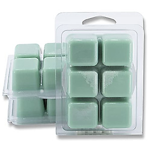 Rosemary and Mint, Lone Star Candles & More's Premium Hand Poured Strongly Scented Wax Melts, The Scent of Aromatic Rosemary and Minty Eucalyptus with Sage, 12 Wax Cubes, USA Made in Texas, 2-Pack