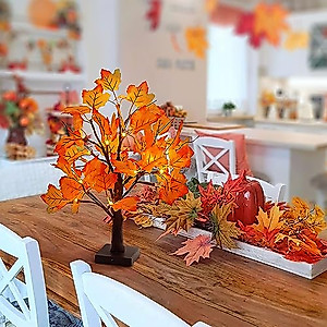 Woohaha 24LED Fall Tree Lighted Maple Tree,Thanksgiving Decoration Maple Leaf Table Tree,Timer Battery Operate Fall Decor Lights for Indoor Outdoor Holiday Autumn Harvest Xmas Party Home Decor