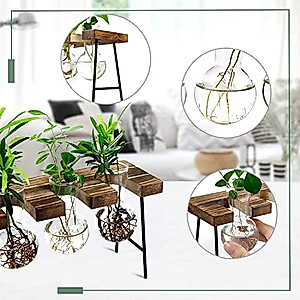 LESES Plant Propagation Stations Desktop Air Plant Terrarium, Glass Planter Bulb Glass Vase with Wood Stand Propagation Station for Hydroponics Plants Home Office Garden Decor
