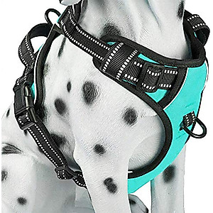 PoyPet No Pull Dog Harness, Reflective Comfortable Vest Harness with Front & Back 2 Leash Attachments and Easy Control Handle Adjustable Soft Padded Pet Vest for Small to Large Dogs (Mint Blue,M)