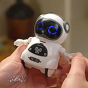 SEDLAV Pocket RC Robot Talking Interactive Dialogue - Robots, Voice Recognition, Record, Sing & Dance - Emo Robot for Fun, Language Learning, Anti Vector Moxie Robot