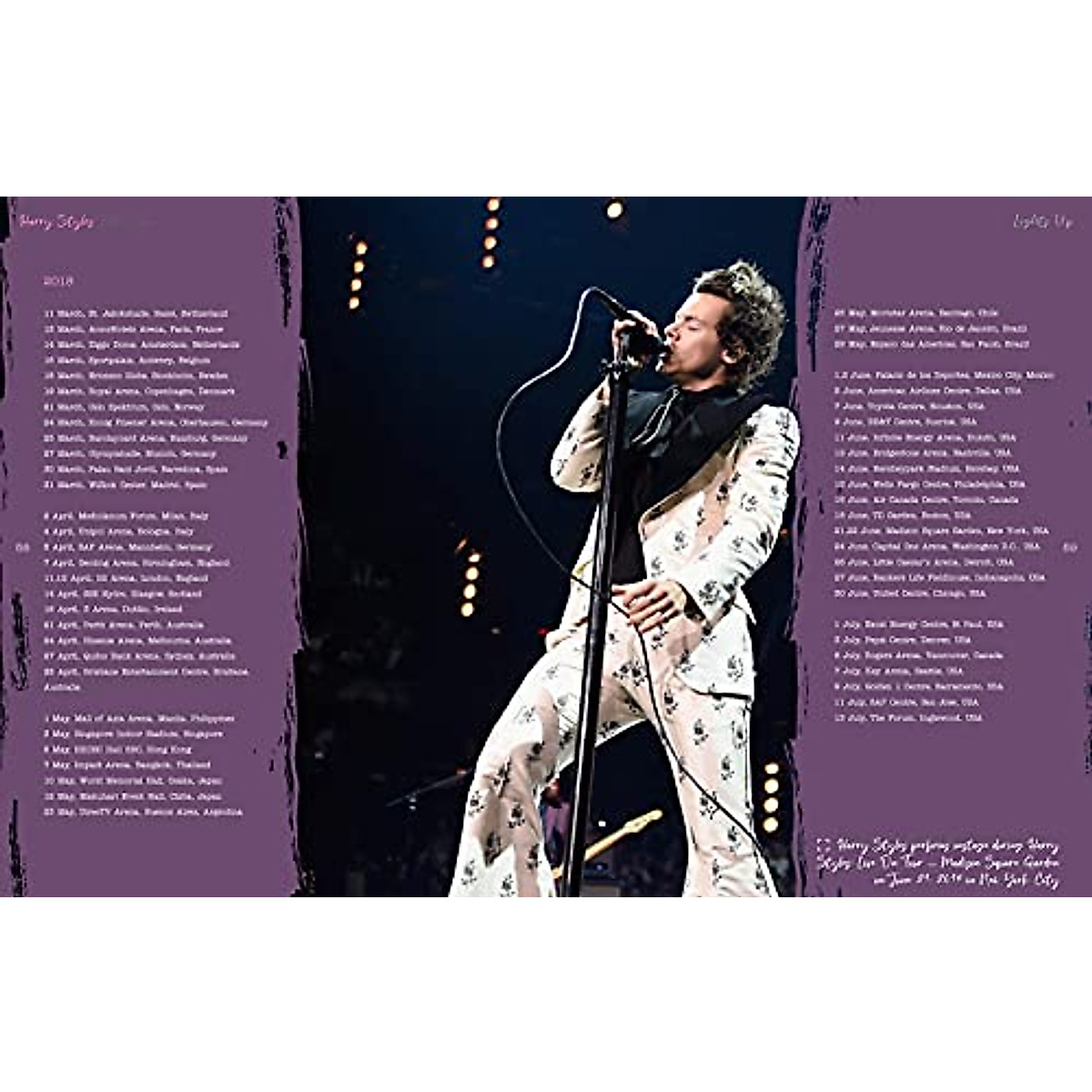 Harry Styles: Adore You: The Illustrated Biography