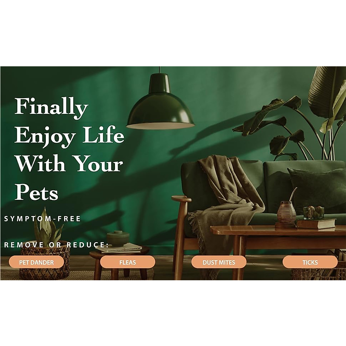 The Ecology Works - Dust Mite and Flea Control Powder (2lb) - Eliminate Dust Mites, Fleas & Reduce Allergies, Gentle Hypoallergenic Formula for Fabric, Furniture, Pet Beds & More