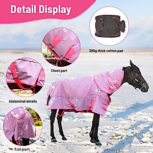Turnout Blanket for Horses, Waterproof Thickened Horse Sheet with Detachable Neck Cover,1600D Nylon Outer, 400g Heavy Weight Filling (Pink, US 81IN(EU 155cm))