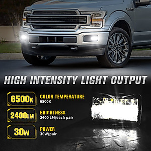 Upgrade LED Fog Lights DOT Bumper Fog Lamps Replacement for Ford F150 2015 2016 2017 2018 2019 2020 F150 (Black - without Halo)