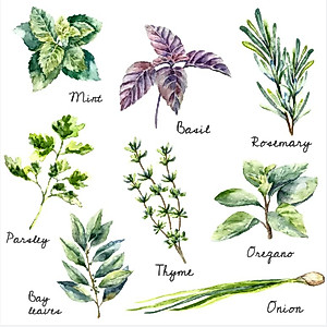 Herb Wall Decals Peel and Stick,Herb Wall Stickers,Herb Wall Art Decor for Kitchen, Kitchen Cabinet Decals,Kitchen Decals for Walls Peel and Stick,Kitchen Stickers for Wall